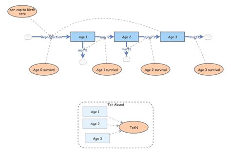 Lab 4 Age Structure Model Insight Maker