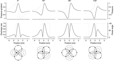 Modelled Pressure Gradient Patterns Generated By A Dipole Source Ie Download Scientific