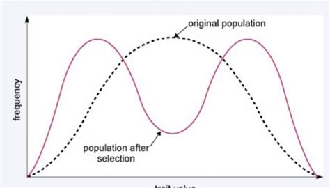 The Selection Depicted In Geaph May Choose Correct