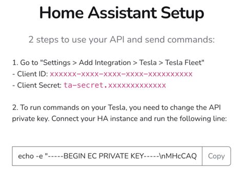 easy tesla setup on home assistant 2025 myteslamate