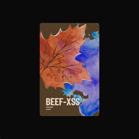 Exploit Browsers In Minutes The Complete Beef Xss Hackers Toolkit
