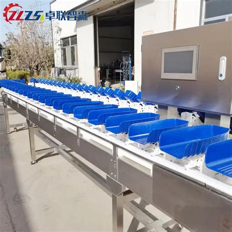 Weighing And Dimensioning Machine Parcel Scan Automatic Sorting Weight Machine Conveyor Sorting