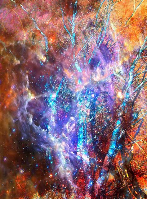 Space Trees Sylvie Covey