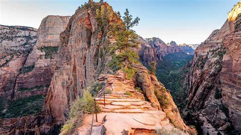 Zion National Park Sights And Activities Wildland Trekking