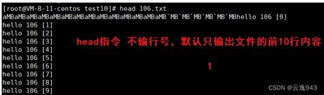 linux基本操作指令2 rm命令截图 csdn博客