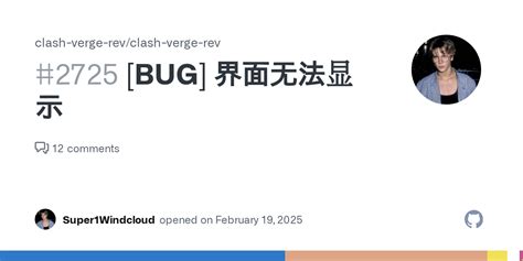 Bug 界面无法显示 · Issue 2725 · Clash Verge Revclash Verge Rev · Github
