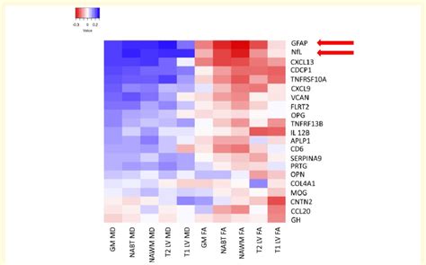 Cross Sectional Correlation Matrix Heatmap Between Follow Up