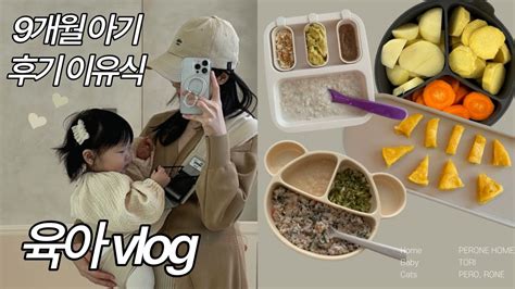 9개월 아기 후기 밥솥이유식 🍚 간식 🧀 변비 해결 방법 아기유산균 두부촉감놀이 육아육묘vlog 👶🏻🐱🐱