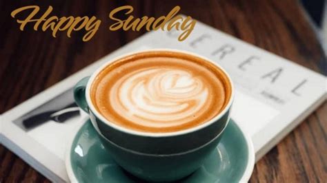 Giá Cà Phê Hôm Nay 2782023 Giá Cà Phê Robusta Tăng Tốt Phiên Cuối Tuần Hàng Xuất Khẩu được