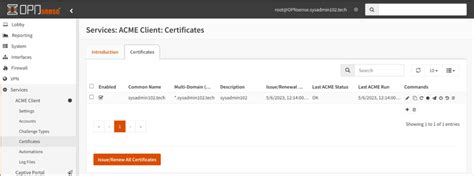 Create Lets Encrypt Wildcard Certificates On Opnsense With Acme Client