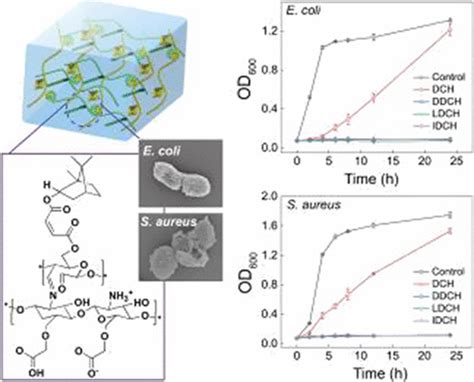 All Natural Injectable Antibacterial Hydrogel Enabled By Chitosan And