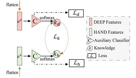 Knowledge Supervision And Collaboration Module L K Denotes Synergy