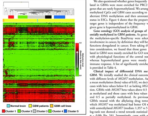 Hierarchical Cluster Analysis Of DNA Methylation Data In 87 GBM Patient
