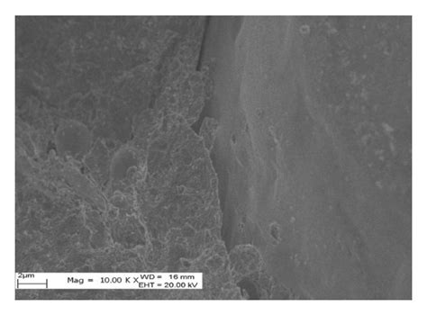 The Cement Paste Aggregate Interface Transition Zone Itz Of Steel Download Scientific Diagram