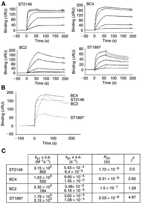 BiaCore Analysis Of ST2146 BC4 BC2 And ST1897 On Tenascin Coated Download Scientific Diagram