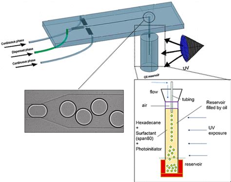 Controlled Synthesis Of Polyacrylamide Co Sodium Acrylate Copolymer Hydrogel Microparticles In