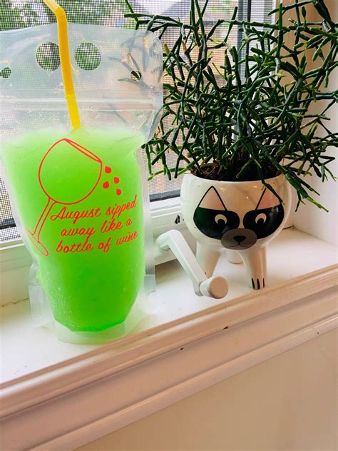 Taylor Swift Reusable Drink Pouches Summer Etsy