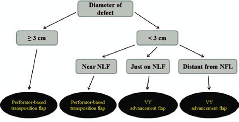 The New Algorithm For Flap Choice When Reconstructing A Midface Defect