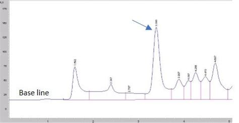 Best Peak Integration In HPLC