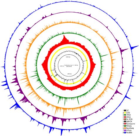 Figure 1 From Gc Bias Affects Genomic And Metagenomic Reconstructions