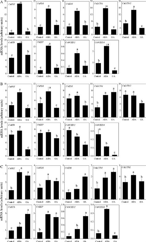 Effect Of ABA And GA On The Expression Of Carotenoid Metabolism Related Download Scientific