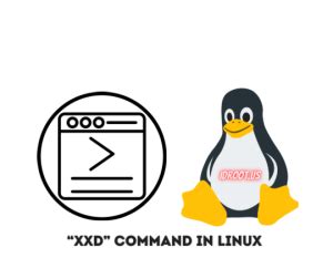 Xxd Command In Linux With Examples Idroot