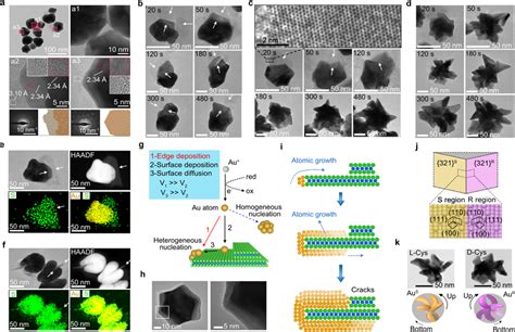 Mechanism For Anisotropic Growth Of Au Nanocrystals On Heterostuctural Download Scientific