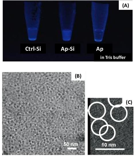 Characteristics Of Silicon Quantum Dots Si Qds A Fluorescence Of Download Scientific