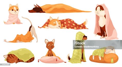 담요에 고양이와 강아지 캐릭터 흰색 배경에 고립 된 따뜻한 옷에 사랑스러운 만화 가축의 만화 그림 벡터 일러스트 레이 션 0명에 대한 스톡 벡터 아트 및 기타 이미지