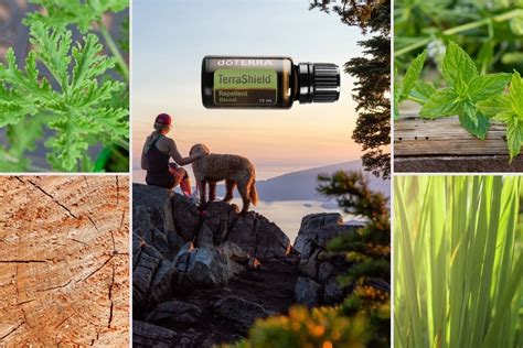 TerraShield (Repellent Blend) - Essential Oil Vet