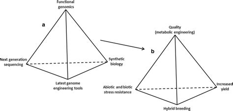A In Pyramid Model A Strong Interconnection Between All Genome Related