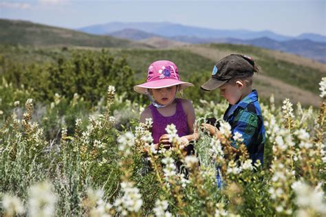 Help The Bodie Hills Bodie Hills Conservation Partnership