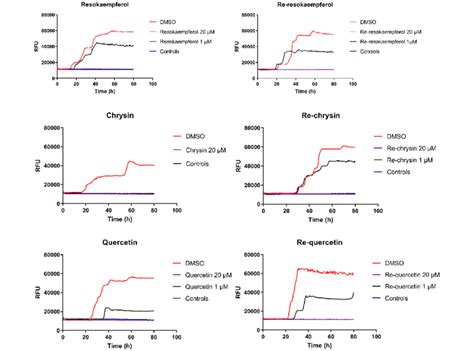Rt Quic Assays Were Performed For Each Compound For 80 H Thioflavin T