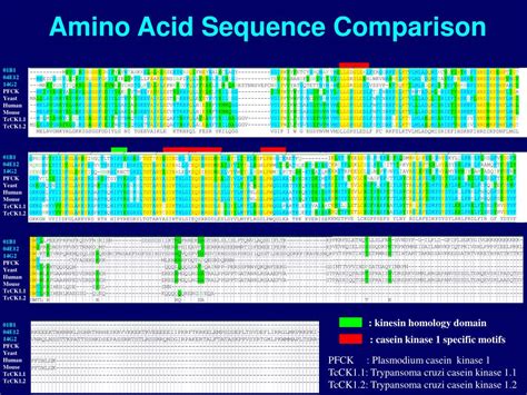 Ppt Bioinformatics 95 Lecture 1 Introduction To Bioinformtics