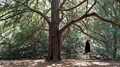 Premium Photo Playful Mid Adult Woman Hanging On Branches In Forest Premium Photo Playful Mid Adult Woman Hanging On Branches In Forest