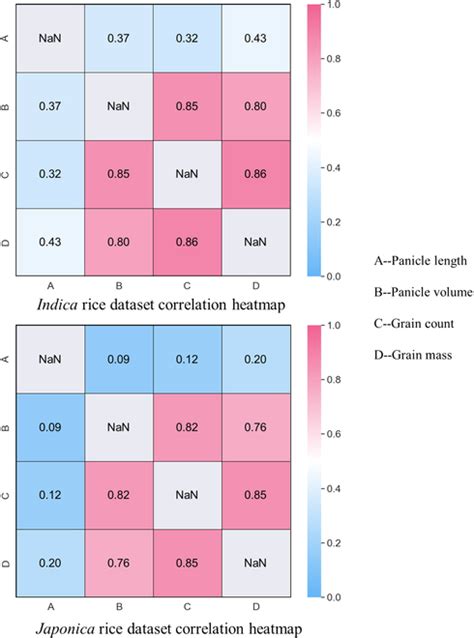 paniclenerf low cost high precision in field phenotyping of rice panicles with smartphone