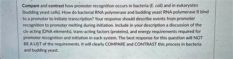 Solved Text Molecular Genetics Compare And Contrast How Promoter Recognition Occurs In