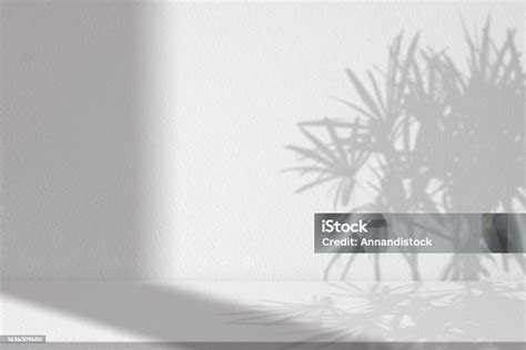 배경 스튜디오 시멘트 룸 디스플레이는 그림자 야자수와 흰 벽 질감 배경에 햇빛 봄 또는 여름 화장품 전시를 위한 배너 배경 모형