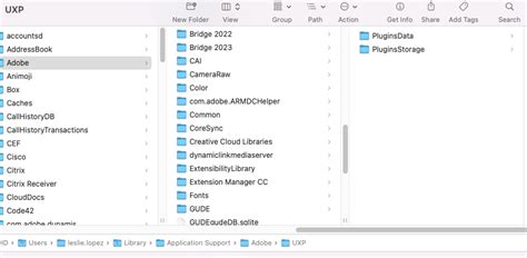 solved epub interactivity preview and media panels not work adobe