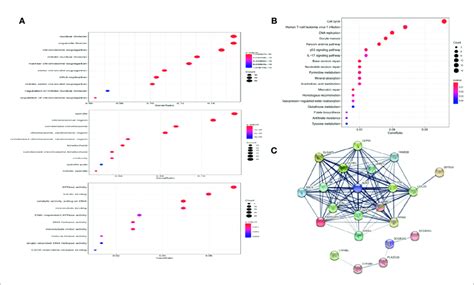 Functional Annotation And Protein Protein Interaction A Download Scientific Diagram