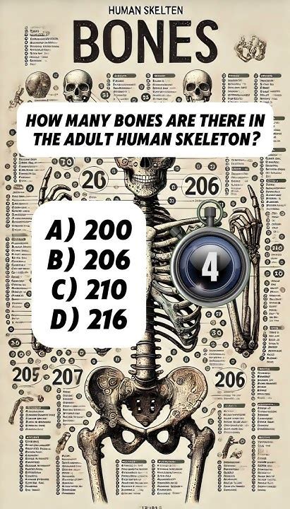 Quiztime Shorts Youtube