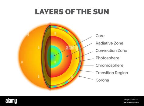 Layers Of The Sun Core Radiative Zone Convection Zone Photosphere Chromosphere Transition