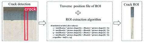 the process of roi cropping download scientific diagram