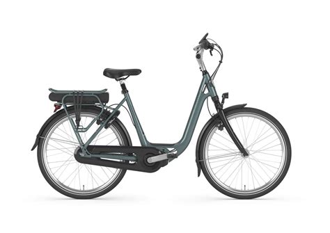 Royal Dutch Gazelle - Modyn
