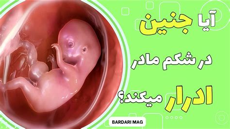 🤰🏻آیا جنین در شکم مادرش ، ادرار میکند ؟😯 Youtube