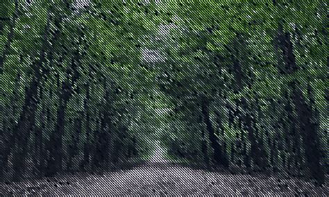 How To Pixelate An Image On Android Or Iphone