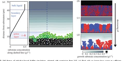 Figure 2 From Cutting Through The Complexity Of Cell Collectives Semantic Scholar