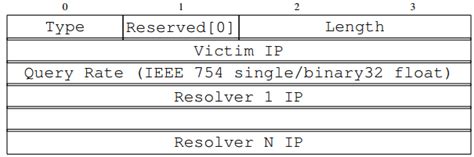 Packet Structure Used By Dns Resolvers The Resolver Detectors