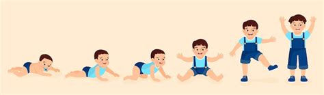 Images De Evolution Bebe Adolescent Téléchargement Gratuit Sur Freepik