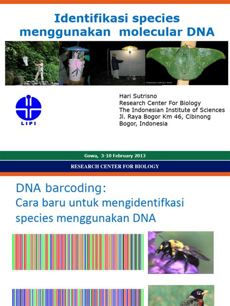Species Identification Using Dna Molecular Pdf Primer Molecular Biology Polymerase Chain
